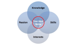 How To Choose A Blog Niche That Makes Money And Dominate It